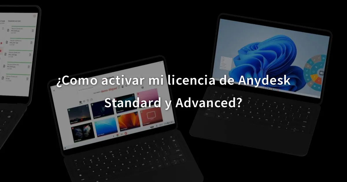 ¿Como activar mi licencia de Anydesk Standard y Advanced?